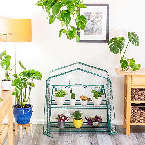 Educational Insights GreenThumb Greenhouse With Vinyl Cover, Perfect For Classroom, Home, and Herb Gardens- Indoor/Outdoor Gardening