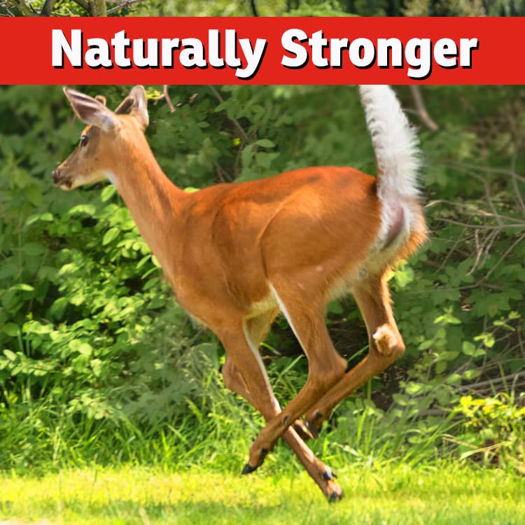 I Must Garden Deer, Rabbit and Groundhog Repellent: All-Weather Granular Formula β 5 lb. Bag