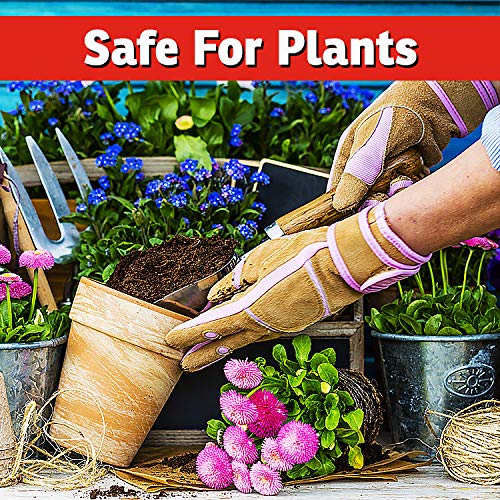 I Must Garden Deer, Rabbit and Groundhog Repellent: All-Weather Granular Formula β 5 lb. Bag