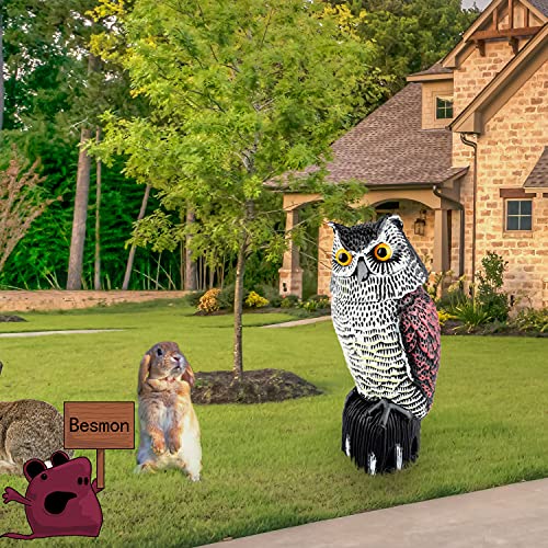 Rolan Owl Decoy Model Used to Scare Birds Away - Flashing Eyes & Frightening Sound Owls for Bird Control