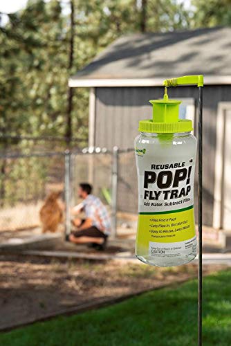 RESCUE! POP! Fly Trap Bait Refill โ Outdoor Use