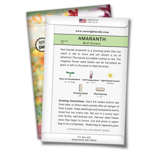 Sow Right Seeds - Red Garnet Amaranth Seeds for Planting - Non-GMO Heirloom Packet with Instructions to Plant & Grow an Outdoor Home Vegetable Garden - Colorful, Pretty & Unique - Makes a Great Gift