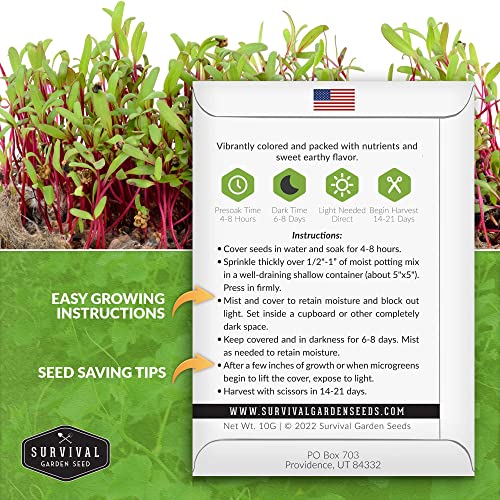 Survival Garden Seeds Beet Microgreens for Sprouting and Growing - 3 Packs - Sprout Green Leafy Micro Vegetable Plants Indoors - Grow A Mini Windowsill Garden - Non-GMO Heirloom Variety