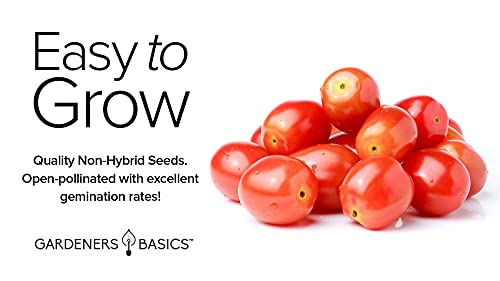 Roma VF Tomato Seeds for Planting Heirloom Non-GMO Seeds for Home Garden Vegetables Makes a Great Gift for Gardening by Gardeners Basics