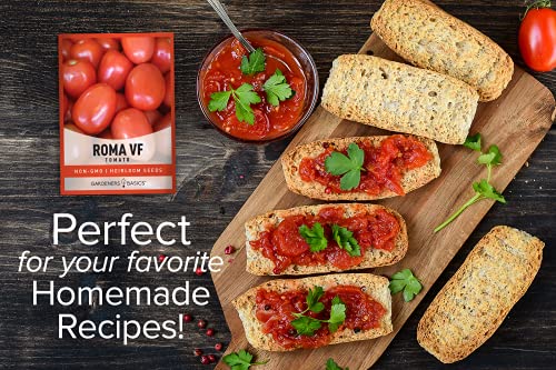 Roma VF Tomato Seeds for Planting Heirloom Non-GMO Seeds for Home Garden Vegetables Makes a Great Gift for Gardening by Gardeners Basics