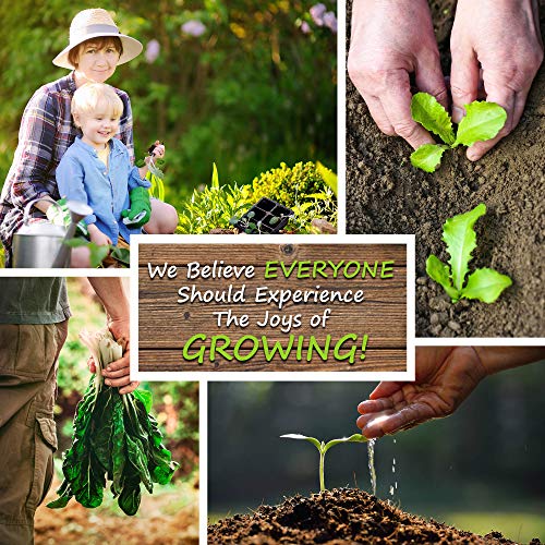 Tomato Seeds for Planting - Baxter's Early Bush Cherry - 250 Mg 65+ Seeds - Farm & Garden Vegetable Seeds - Non-GMO, Heirloom - Sealed in a Beautiful Mylar Package for Extended Shelf Life