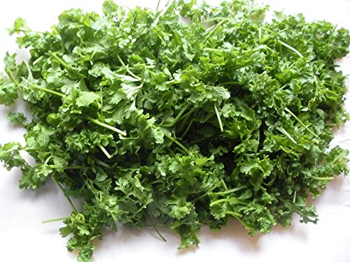 Curled Cress Seeds for Planting, aka "Garden Cress", 500+ Heirloom Seeds Per Packet, (Isla's Garden Seeds), Non GMO Seeds, Botanical Name: Lepidium sativum, Great Home Herb Garden Gift