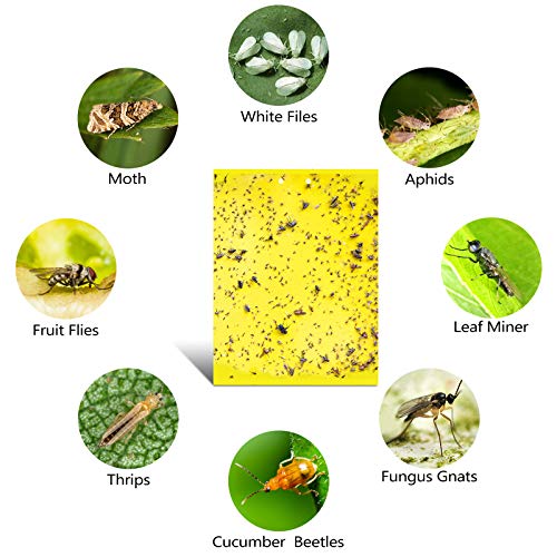 Garutom 20-Pack Dual-Sided Yellow Sticky Traps for Flying Plant Insect Such as Fungus Gnats, Whiteflies, Aphids, Leafminers, etc (6x8 Inches, Included 20pcs Twist Ties)