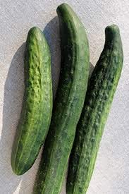 "Green Dragon" Cucumber Seeds for Planting, 50+ Heirloom Seeds Per Packet, (Isla's Garden Seeds), Non GMO Seeds, Botanical Name: Cucumis sativus, 90% Germination Rate