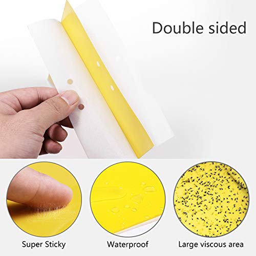 Garutom 20-Pack Dual-Sided Yellow Sticky Traps for Flying Plant Insect Such as Fungus Gnats, Whiteflies, Aphids, Leafminers, etc (6x8 Inches, Included 20pcs Twist Ties)