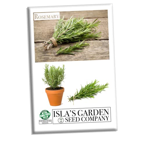 Rosemary Seeds for Planting, 100+ Heirloom Seeds Per Packet, (Isla's Garden Seeds), Non GMO Seeds, Fragrant Herb, Botanical Name: Salvia rosmarinus, Great Home Garden Gift