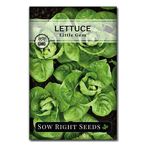 Sow Right Seeds - Hydroponic Vegetable Seeds for Planting - Lettuce, Kale, Arugula, and Pak Choi Seeds for Planting and Growing a Hydroponic Greens - Garden Indoors - Perfect for Your Growing System