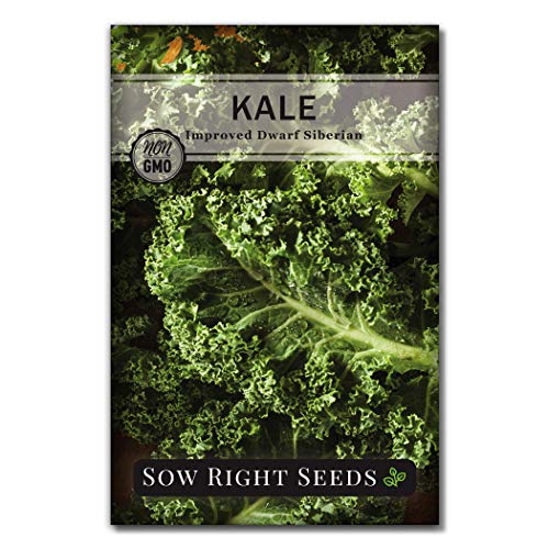 Sow Right Seeds - Hydroponic Vegetable Seeds for Planting - Lettuce, Kale, Arugula, and Pak Choi Seeds for Planting and Growing a Hydroponic Greens - Garden Indoors - Perfect for Your Growing System