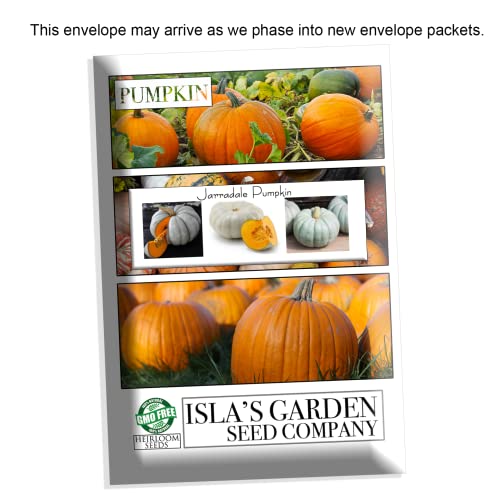 Jarradale Pumpkin Seeds for Planting, Pale Green Color, (Jarrahdale) 10 Heirloom Seeds, (Isla's Garden Seeds), Non GMO Seeds, Botanical Name: Cucurbita Maxima, Great Home Garden Gift
