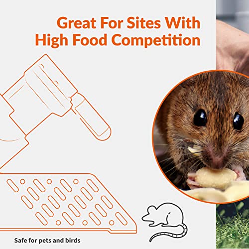 Goodnature A24 DIY Lure Baskets, Pet-Friendly Do It Yourself Rat and Mouse Lure Accessory (5 Pack)