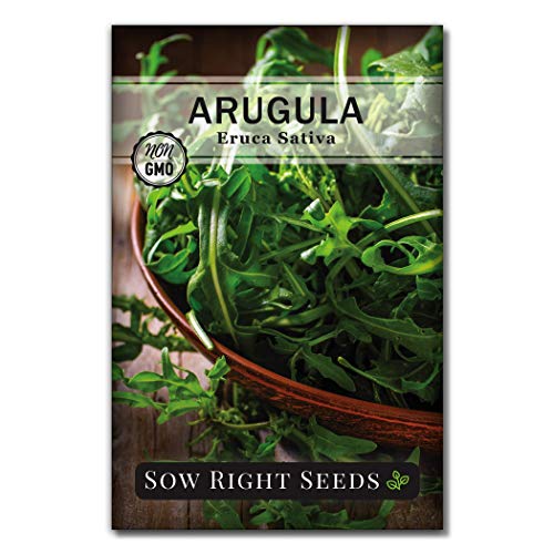 Sow Right Seeds - Hydroponic Vegetable Seeds for Planting - Lettuce, Kale, Arugula, and Pak Choi Seeds for Planting and Growing a Hydroponic Greens - Garden Indoors - Perfect for Your Growing System