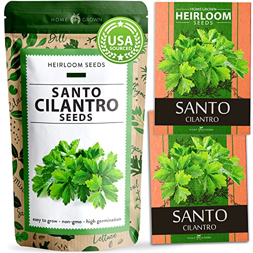 500+ Santo Cilantro Seeds for Planting Indoors or Outdoors - Non-GMO, Heirloom Herbs, Coriander Plant Seeds - Cilantro Herb Seeds for Your Indoor Herb Garden
