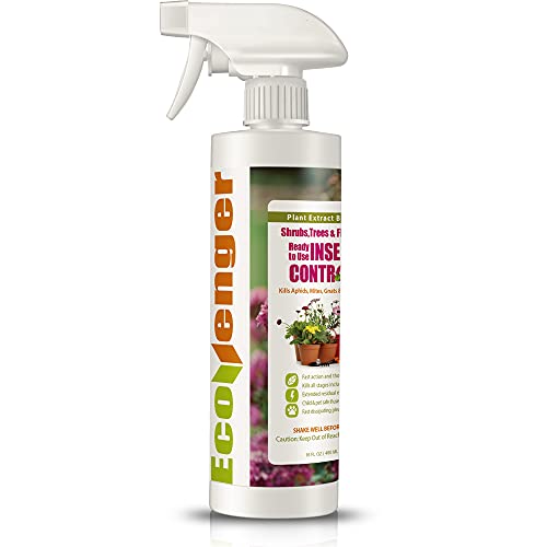 EcoVenger (Formerly EcoRaider) Garden Insect Control 16OZ, Plant Extract Based, Indoor & Outdoor, Kills Aphids, Mealybugs, Spider Mites and Gnats All Stages and Eggs, Non-Toxic Child & Pets Safe