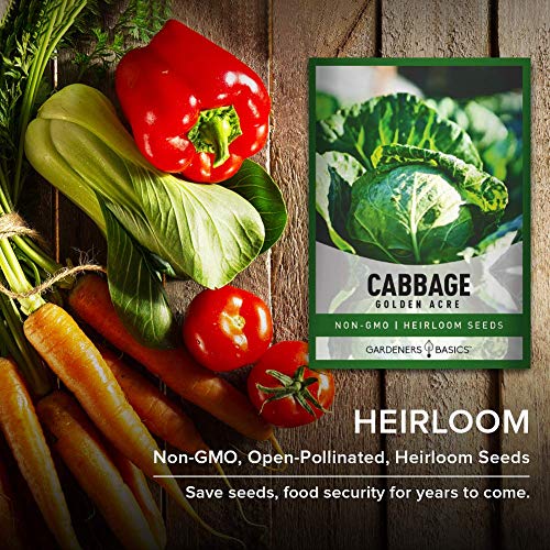 Cabbage Seeds for Planting - Golden Acre Green Heirloom, Non-GMO Vegetable Variety- 1 Gram Approx 225 Seeds Great for Summer, Spring, Fall, and Winter Gardens by Gardeners Basics