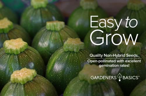 Round Zucchini Seeds for Planting Heirloom, Non-GMO Vegetable Summer Squash Container Variety- 3 Grams Seeds Great for Summer Garden by Gardeners Basics