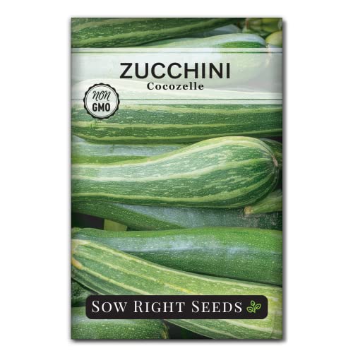 Sow Right Seeds - Zucchini Squash Seed Collection for Planting - Black Beauty, Cocozelle, Grey, Round, and Golden - Non-GMO Heirloom Packet to Plant a Home Vegetable Garden - Productive Summer Squash
