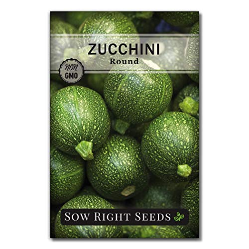 Sow Right Seeds - Zucchini Squash Seed Collection for Planting - Black Beauty, Cocozelle, Grey, Round, and Golden - Non-GMO Heirloom Packet to Plant a Home Vegetable Garden - Productive Summer Squash