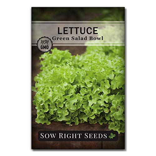 Sow Right Seeds - Salad Bowl Green Leaf Lettuce Seeds for Planting - Non-GMO Heirloom Packet with Instructions to Plant a Home Vegetable Garden, Rapid Growing Leaf Lettuce; Great Gardening Gift