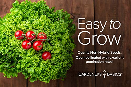 Romaine Lettuce Seeds for Planting - Parris Island Cos Heirloom, Non-GMO Vegetable Variety- 2 Grams Seeds Great for Spring, Summer, Fall, Winter Garden and Hydroponics by Gardeners Basics