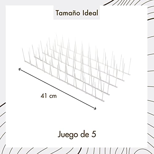 Bird Blinder Plastic Bird Spikes - Polycarbonate Deterrent for Pigeons and Other Small Birds - Bird Nest Prevention, Bird Repellent Outdoor Devices (16 Foot Coverage)