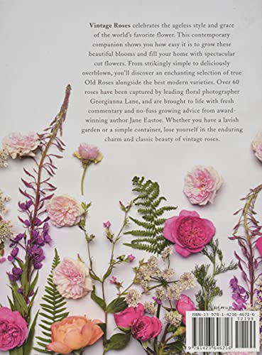 Vintage Roses: Beautiful Varieties for Home and Garden