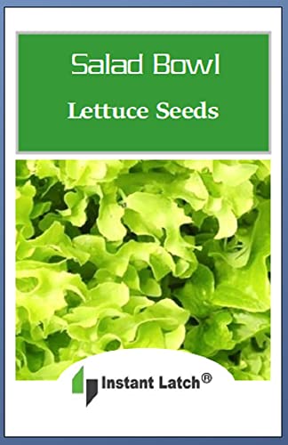 500 Salad Bowl Lettuce Seeds | Non-GMO | Fresh Garden Seeds