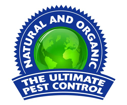 Flea Destroyer Beneficial Nematodes Steinernema Feltiae (SF) for Organic Natural Outdoor Lawn and Garden Flea, Grub Control, 10 Million Size in 16 oz Container