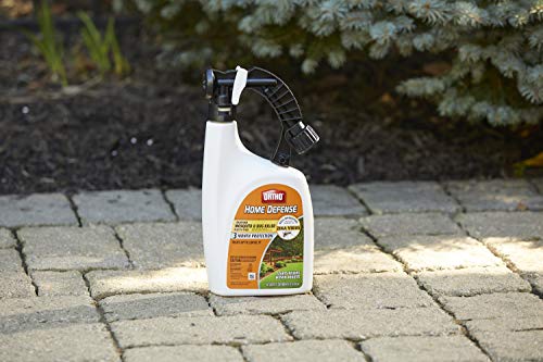 Ortho Home Defense Backyard Mosquito and Bug Killer Ready-To-Spray - Kill Mosquitoes That May Transmit the Zika Virus, 3 Month Protection, 32 oz. (2-Pack)