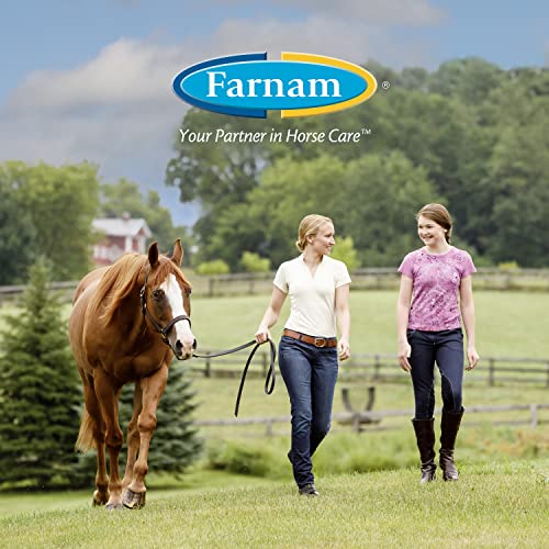Farnam Equisect Botanical Fly Repellent for Horses, Dogs and Cats, 32 Ounces, Quart Spray