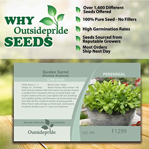 Outsidepride Garden Sorrel Culinary Herb Garden Plant for Soups & Salads - 10000 Seeds