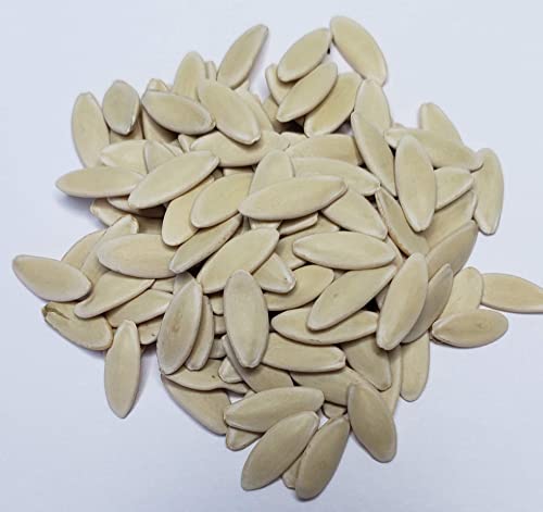 Crisp and Sweet “Beit Alpha” Cucumber Seeds – Harvest-Ready in Just 60 Days – Heirloom Seeds | Liliana's Garden |
