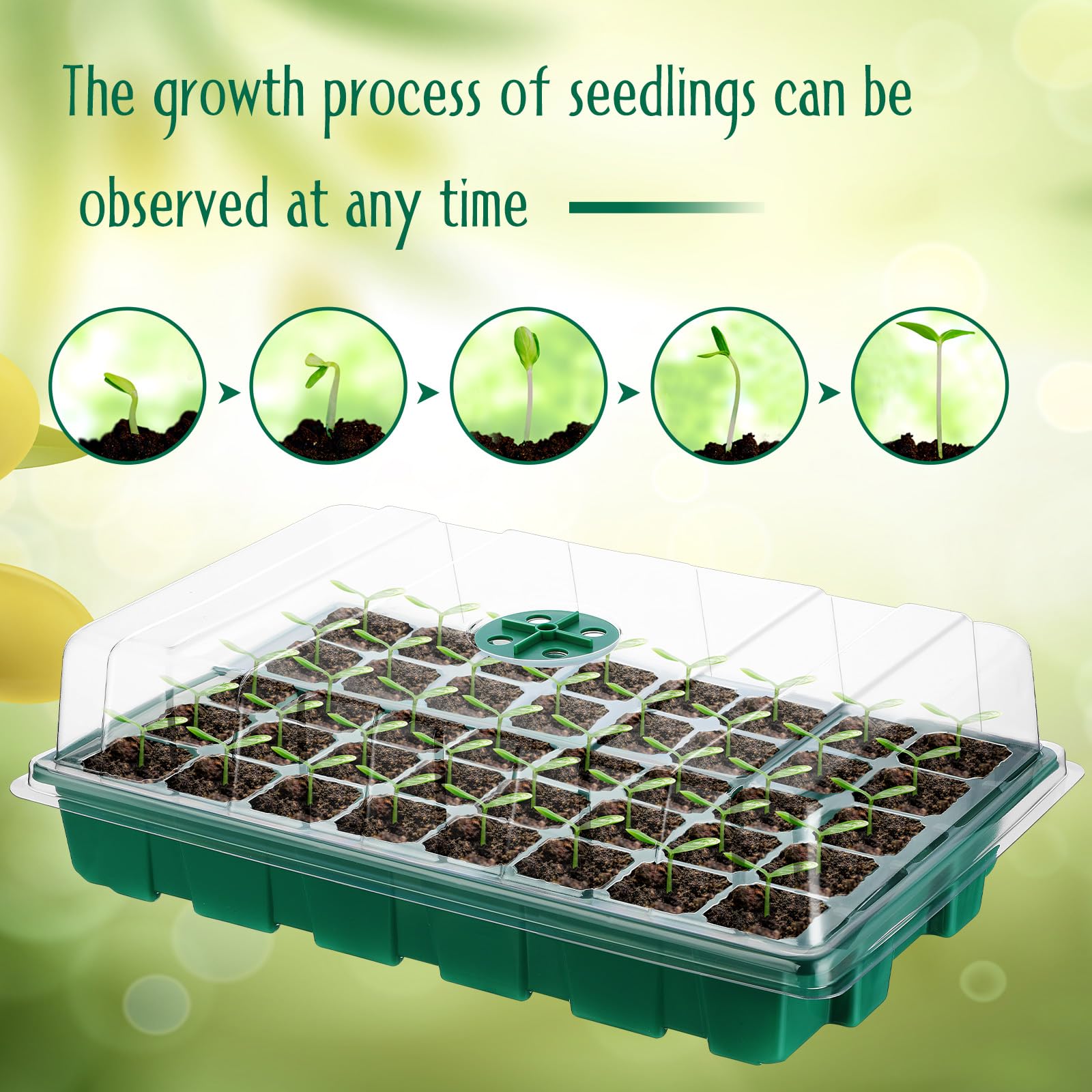 Hoolerry Seed Starter Tray 40 Cells Seed Starter Kit with Humidity Dome and Base Propagation Tray Plant Germination Trays Greenhouse Mini Propagator Station for Seeds Growing (Green,20 Pcs)