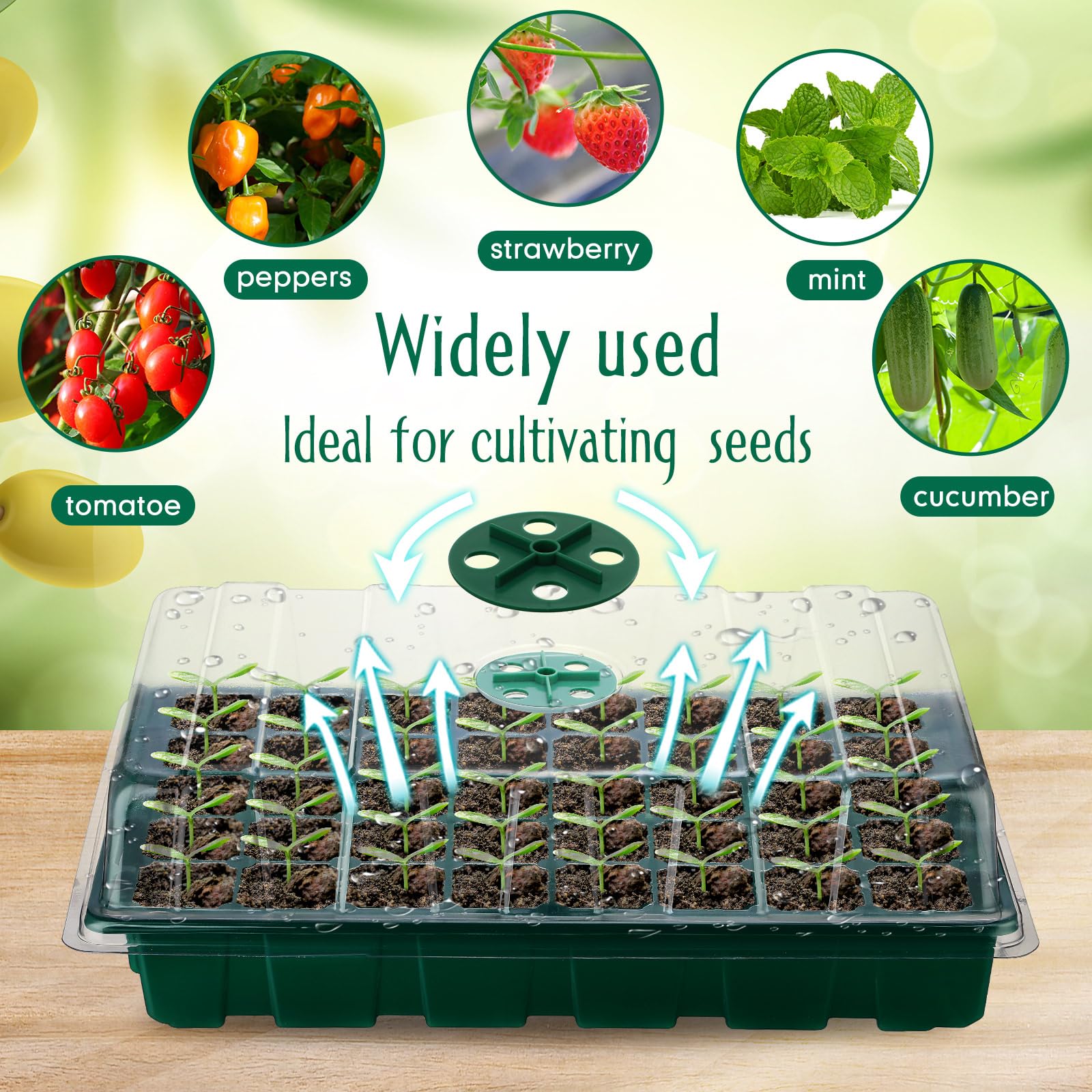 Hoolerry Seed Starter Tray 40 Cells Seed Starter Kit with Humidity Dome and Base Propagation Tray Plant Germination Trays Greenhouse Mini Propagator Station for Seeds Growing (Green,20 Pcs)