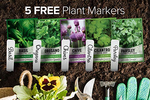 Culinary Herb Seeds For Planting Indoors and Outdoors 5 Herbs Seed Packets Including Basil, Cilantro, Chives, Oregano, and Parsley - Great for Kitchen Herb Garden Heirloom Herb Seeds - Gardners Basics