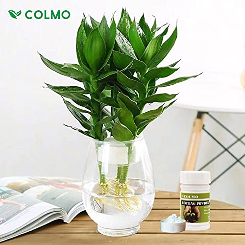 Colmo Rooting Hormone Powder for cuttings Miracle Grow Potting Soil Fertilizer 0.7 oz/ 20g