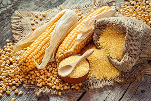 200+ Corn Seeds for Planting (4 Varieties) Glass Gem Corn, Sweet Corn, Silver Queen Corn, red Corn Non-GMO Heirloom, 90% Germination Rates Open Pollinated
