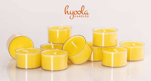 Tealight Citronella Candles Outdoor - 8 Hour Burn Time - Indoor and Outdoor Mosquito, Insect and Bug Repellent Citronella Candle - Natural Fresh Scent – Decorative in Clear Cup - 80 Pack