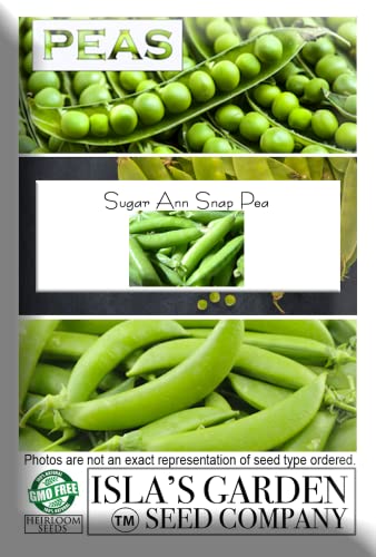 Sugar Ann Snap Pea Garden Seeds, 50+ Heirloom Seeds Per Packet, (Isla's Garden Seeds), Non GMO Seeds, Botanical Name: Pisum sativum