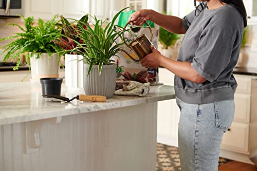 Miracle-Gro Indoor Potting Mix, 16 qt.