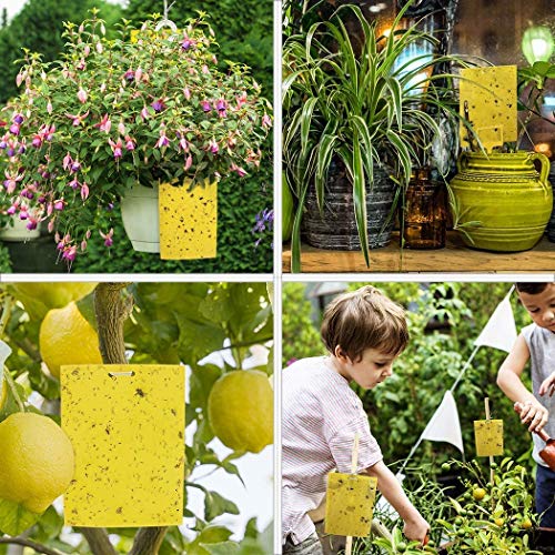 Gideal 10-Pack Dual-Sided Yellow Sticky Traps for Flying Plant Insect Such as Fungus Gnats, Whiteflies, Aphids, Leafminers,Thrips - (6x8 Inches, Included 10pcs Twist Ties)