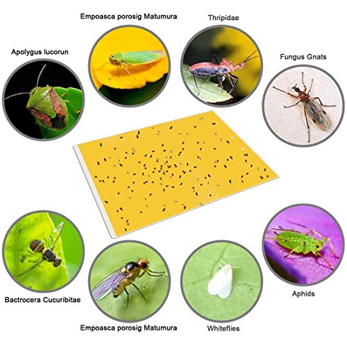 Gideal 10-Pack Dual-Sided Yellow Sticky Traps for Flying Plant Insect Such as Fungus Gnats, Whiteflies, Aphids, Leafminers,Thrips - (6x8 Inches, Included 10pcs Twist Ties)
