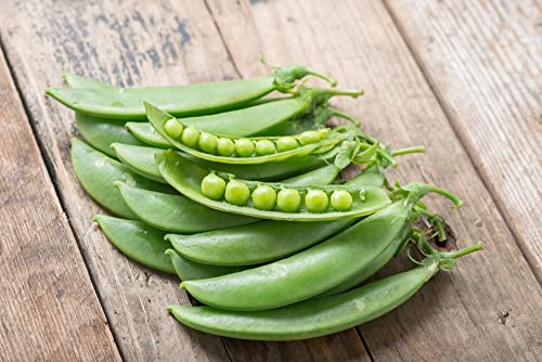 Sugar Ann Snap Pea Garden Seeds, 50+ Heirloom Seeds Per Packet, (Isla's Garden Seeds), Non GMO Seeds, Botanical Name: Pisum sativum