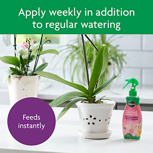 Miracle-Gro Ready-To-Use Orchid Plant Food Mist, 8 oz., Orchid Food Feeds Plants Instantly, 1 Pack