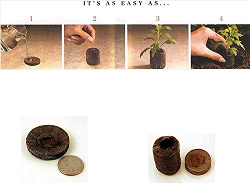 Jiffy 100 7 Peat Pellets 42mm - Seeds Starting Peat Pellet Helps to Avoid Root Shock - 100 Peat Pellets 42mm (1)