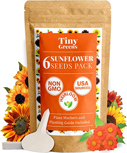 Sunflower Seeds Pack for Planting Outdoors - 6 Beautiful Sunflower Seed Varieties to Plant - Autumn Beauty, Lemon Queen, Mexican, Sunspot, Velvet Queen, Wild Sunflower - Flower Seeds for Planting